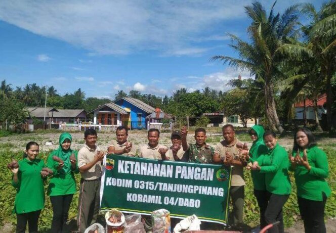 Dukung Ketahanan Pangan, Koramil 04/Dabo Panen Ubi Jalar